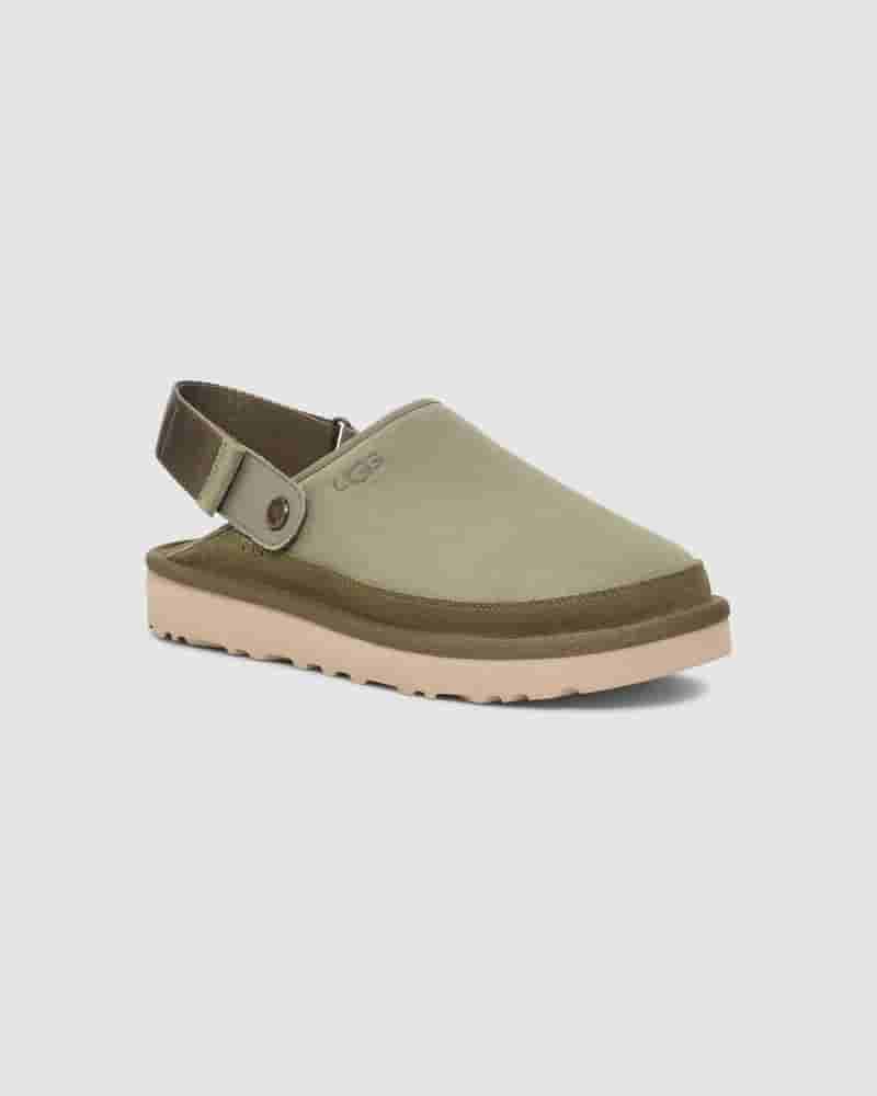 Men's Goldencoast Shaded Clover Clog | UGG